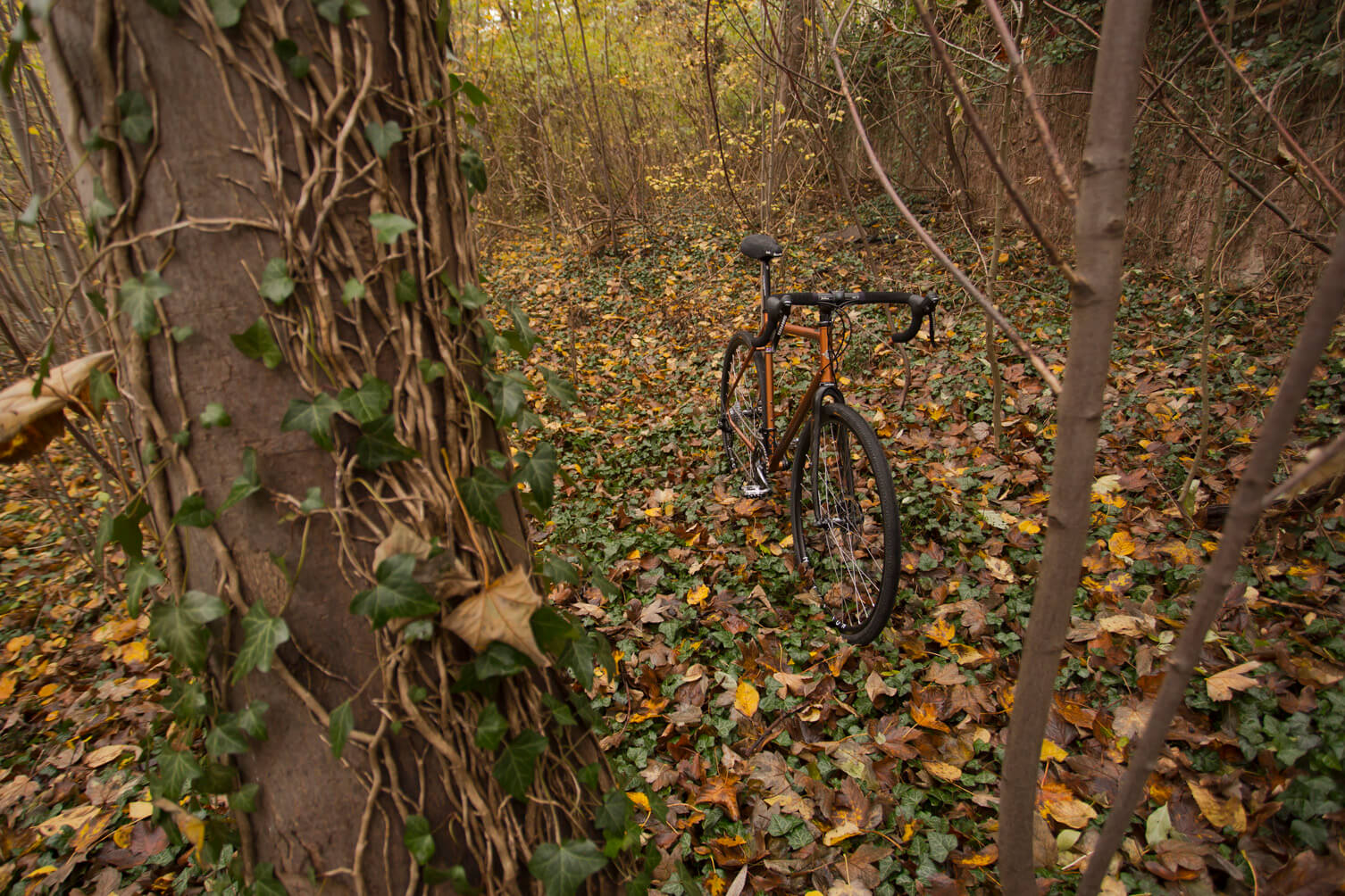 Genesis Croix De Fer 725 — The Hunt Cycling